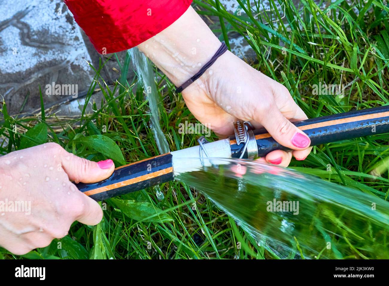 Hose hosepipe house tube irrigation hi-res stock photography and images ...