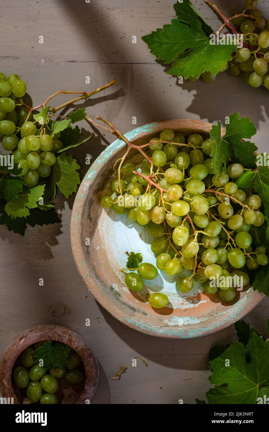 Grape plant pot hi-res stock photography and images - Alamy