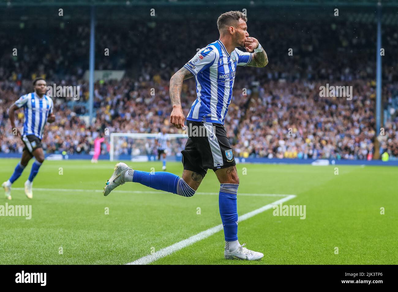 Marvin Johnson #18 of Sheffield Wednesday celebrates his goal to make ...