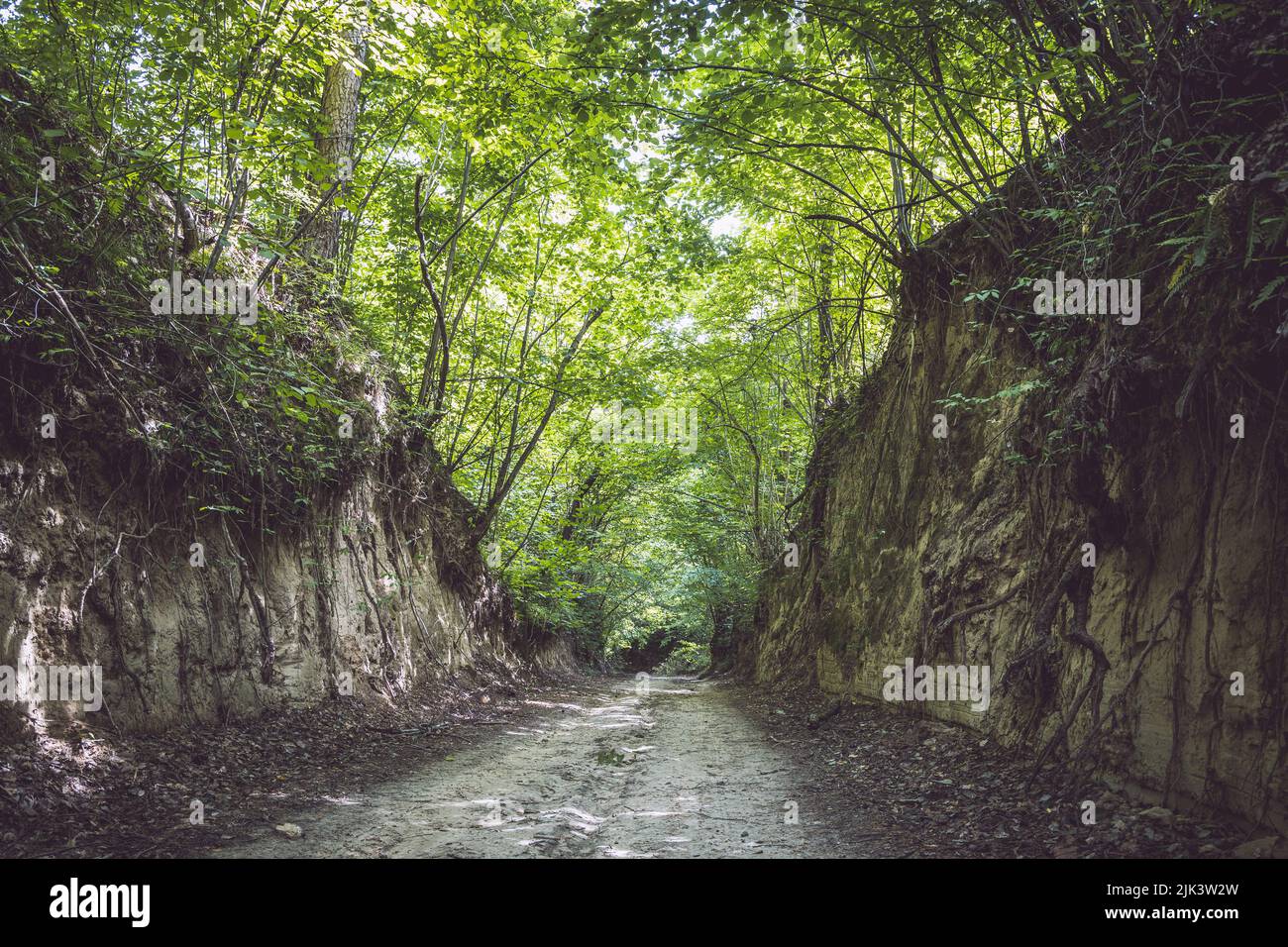 Ravine road hi-res stock photography and images - Alamy