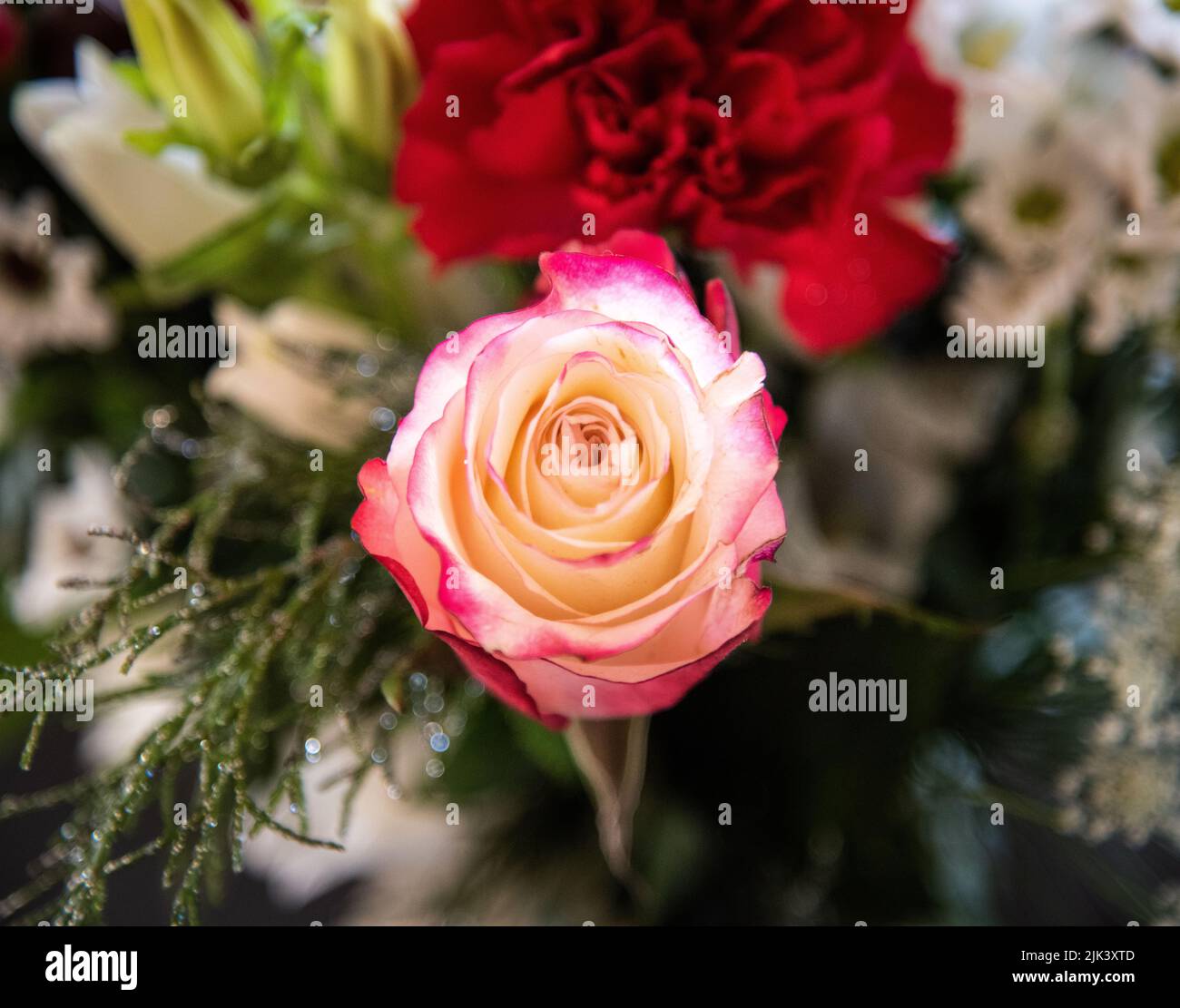 Tinted photography hi-res stock photography and images - Alamy