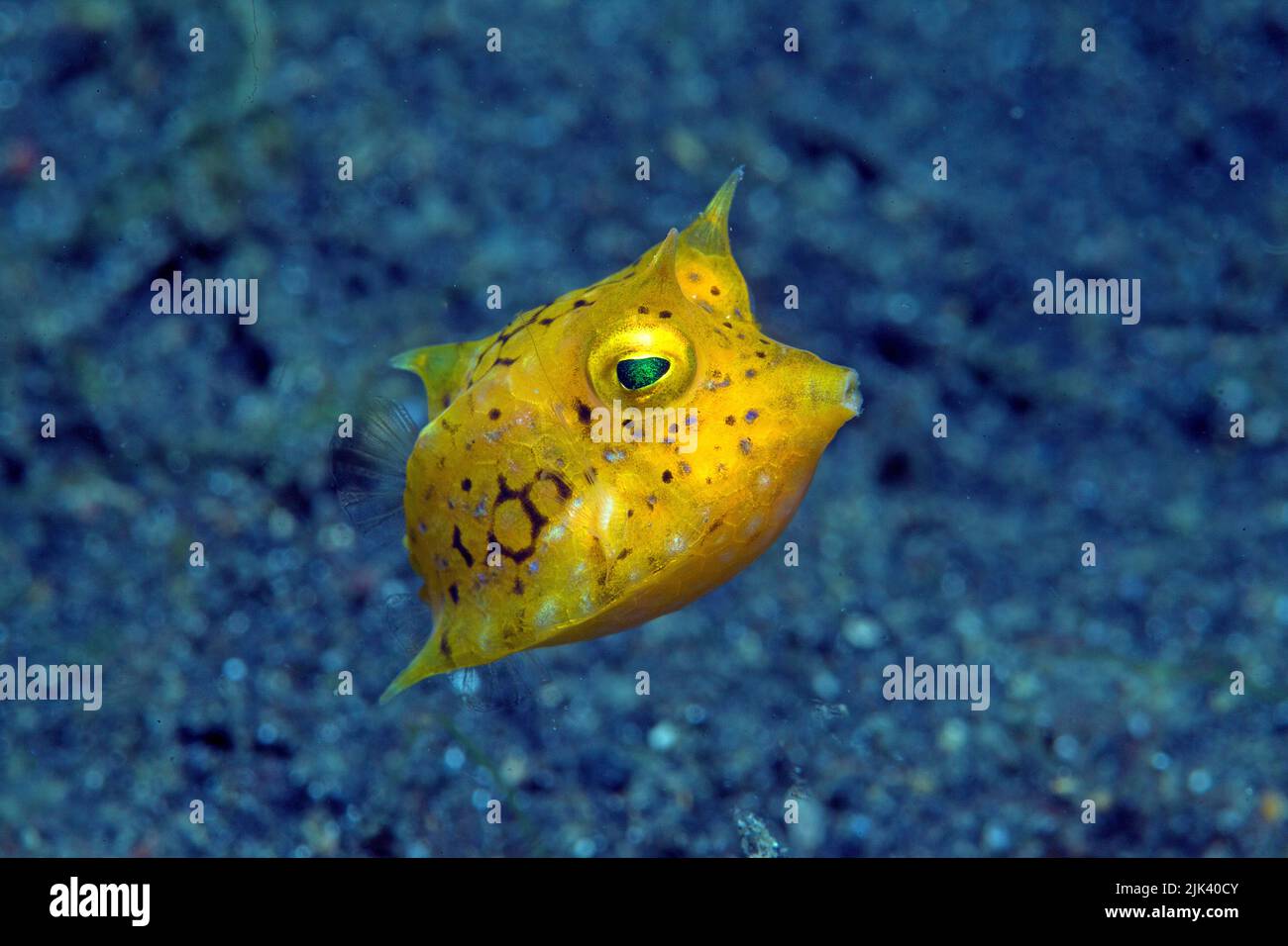 Unesco australien hi-res stock photography and images - Alamy