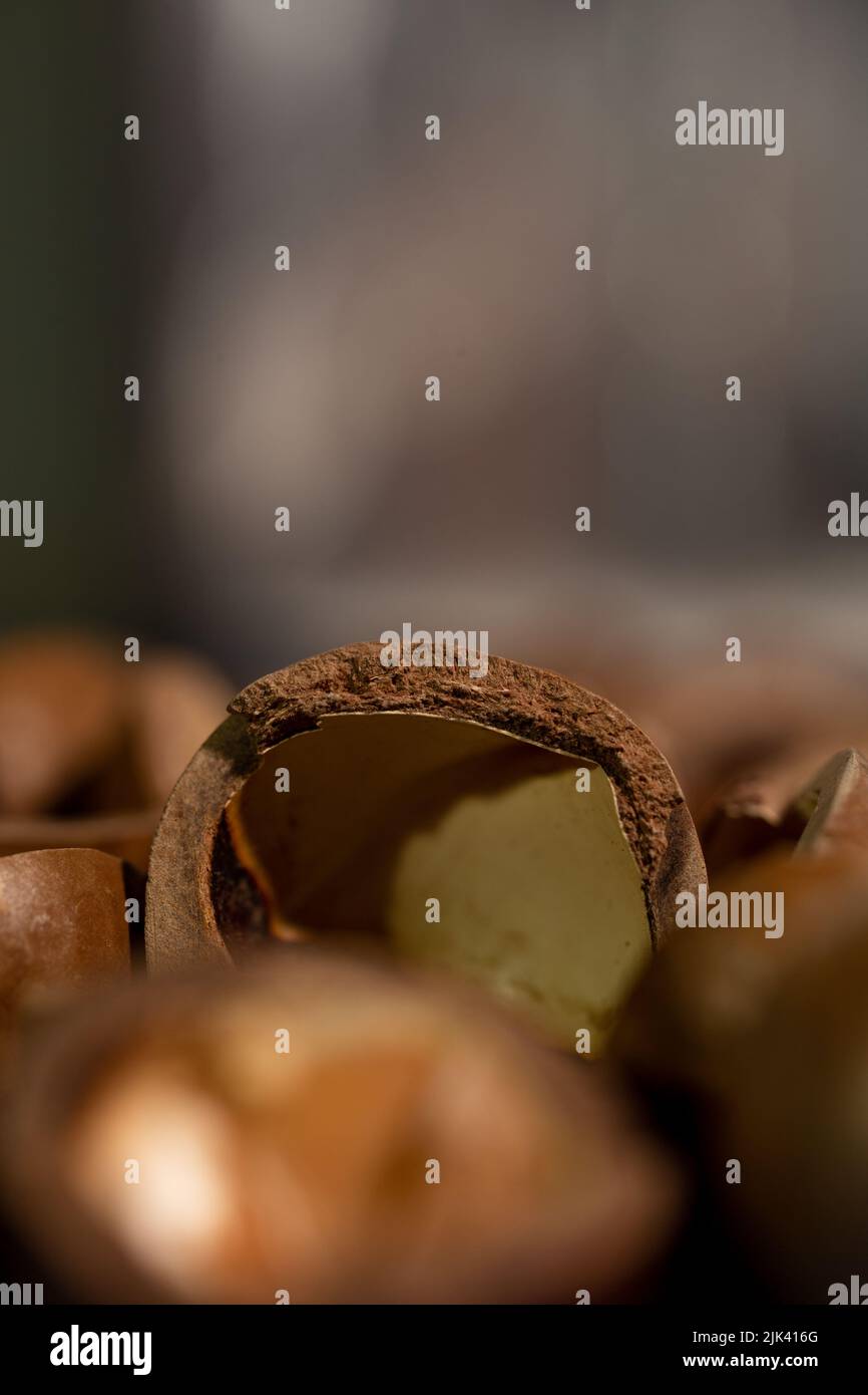 split macadamia nutshell close-up macro photo Stock Photo - Alamy