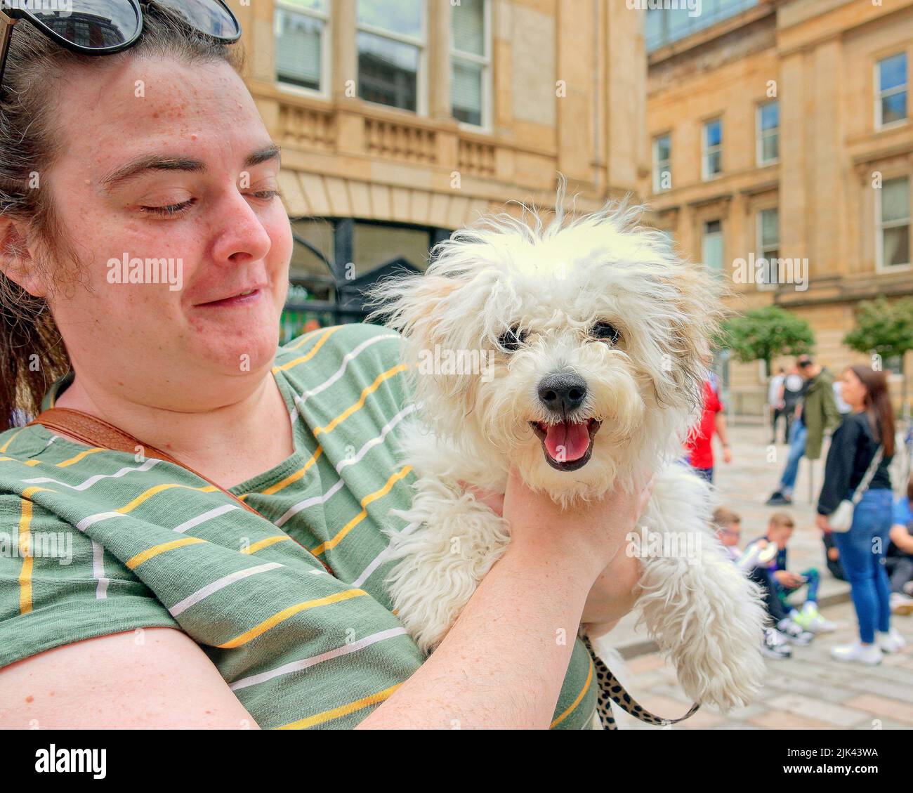 Glasgow, Scotland, UK July 30th 2022. UK Weather: Scamp with owner ...