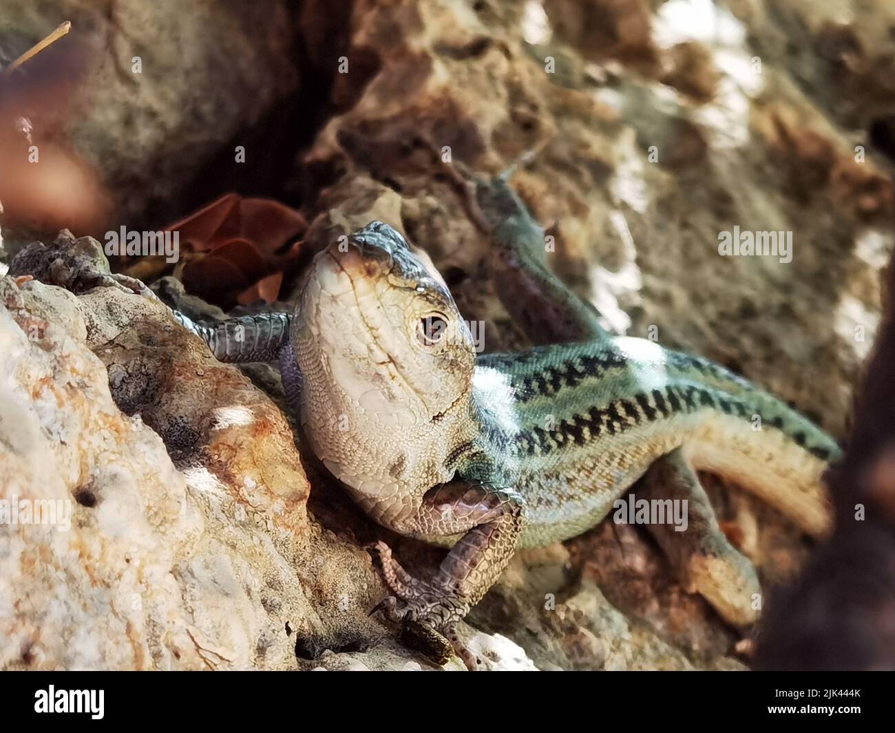Photo greece hi-res stock photography and images - Alamy