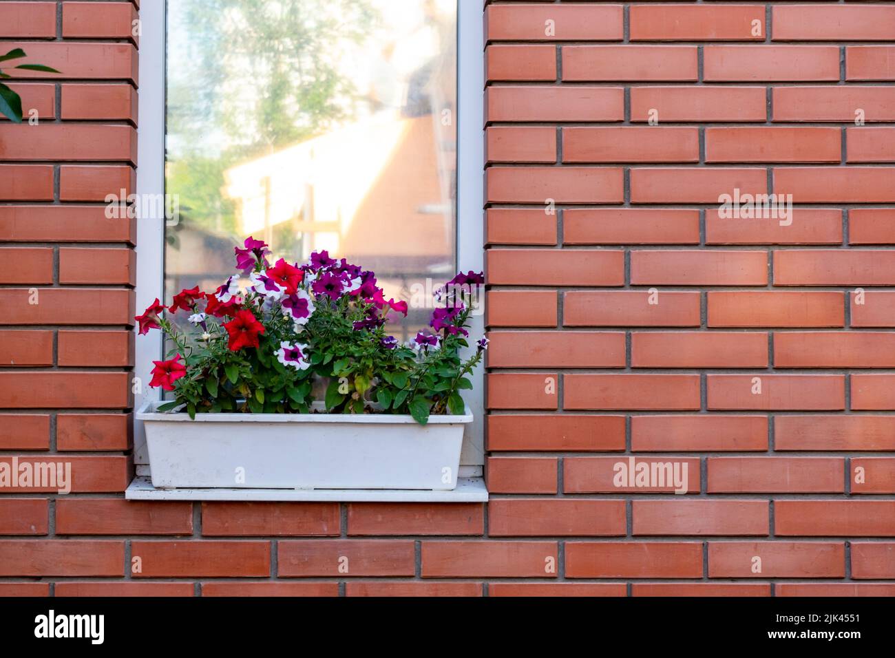 Flowers in a box on the windowsill of a residential building. A red ...