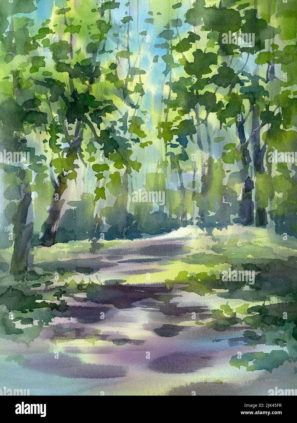 Forest path sunlight shadow watercolor background. Summer illustration ...