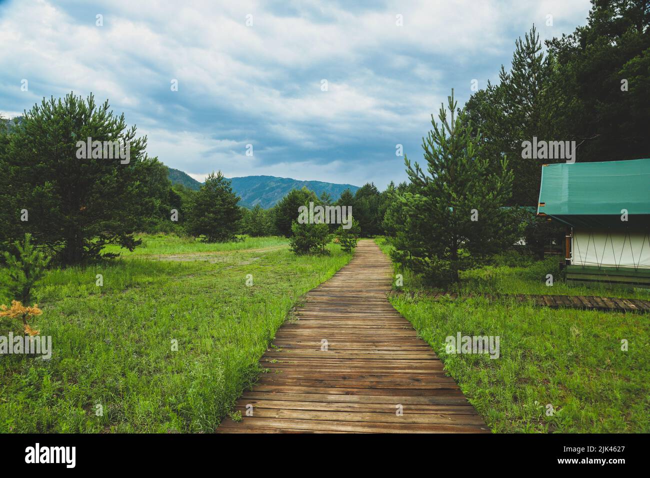 The path from boards in the camp in the forest. Summer, mountains ...