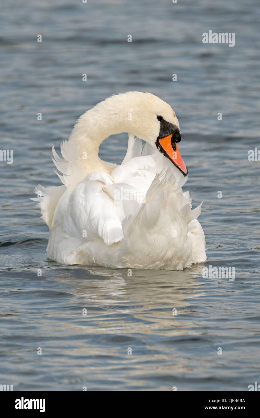 Riverside park southampton hi-res stock photography and images - Alamy