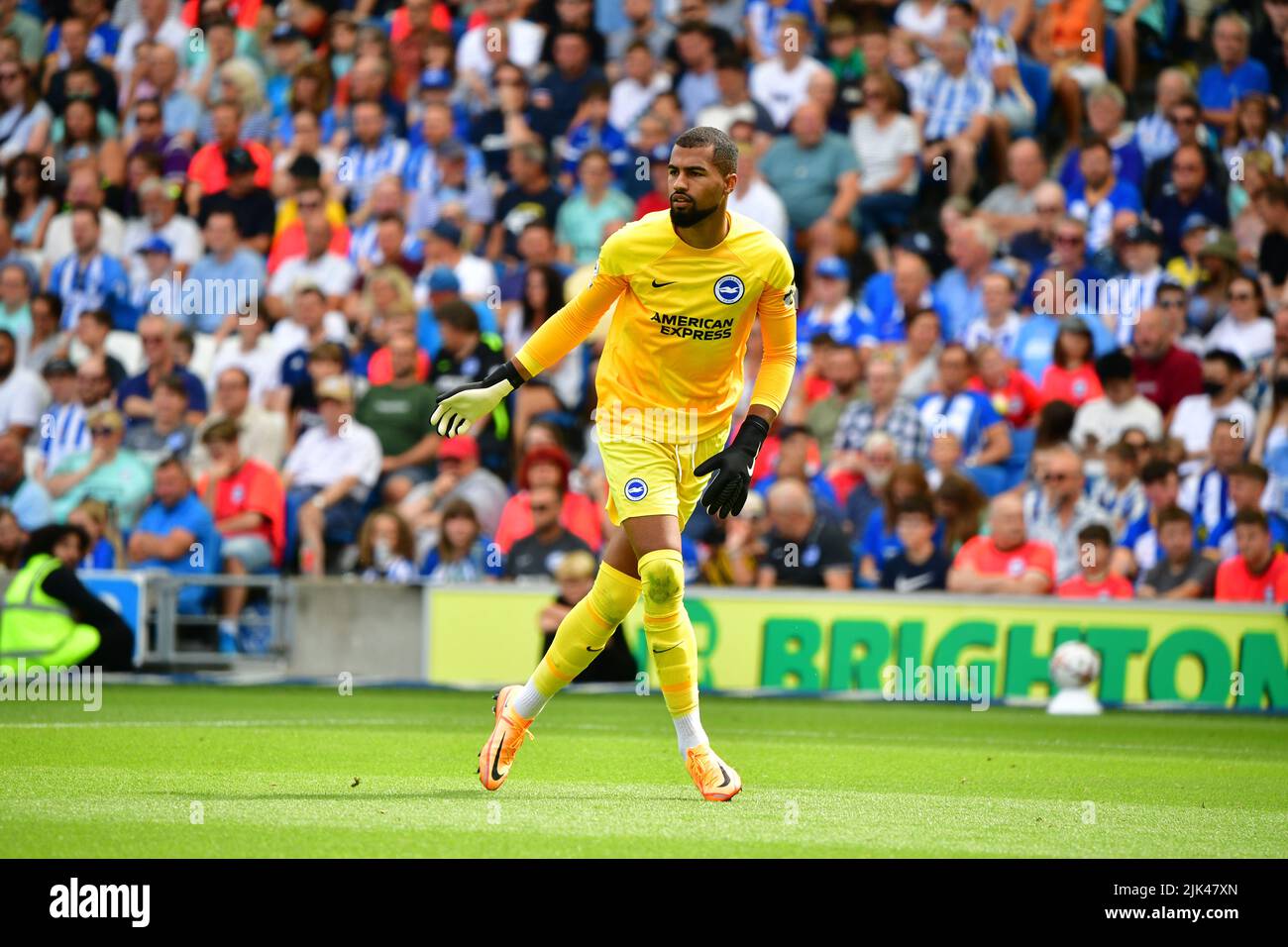 Robert sanchez of brighton hi-res stock photography and images - Alamy