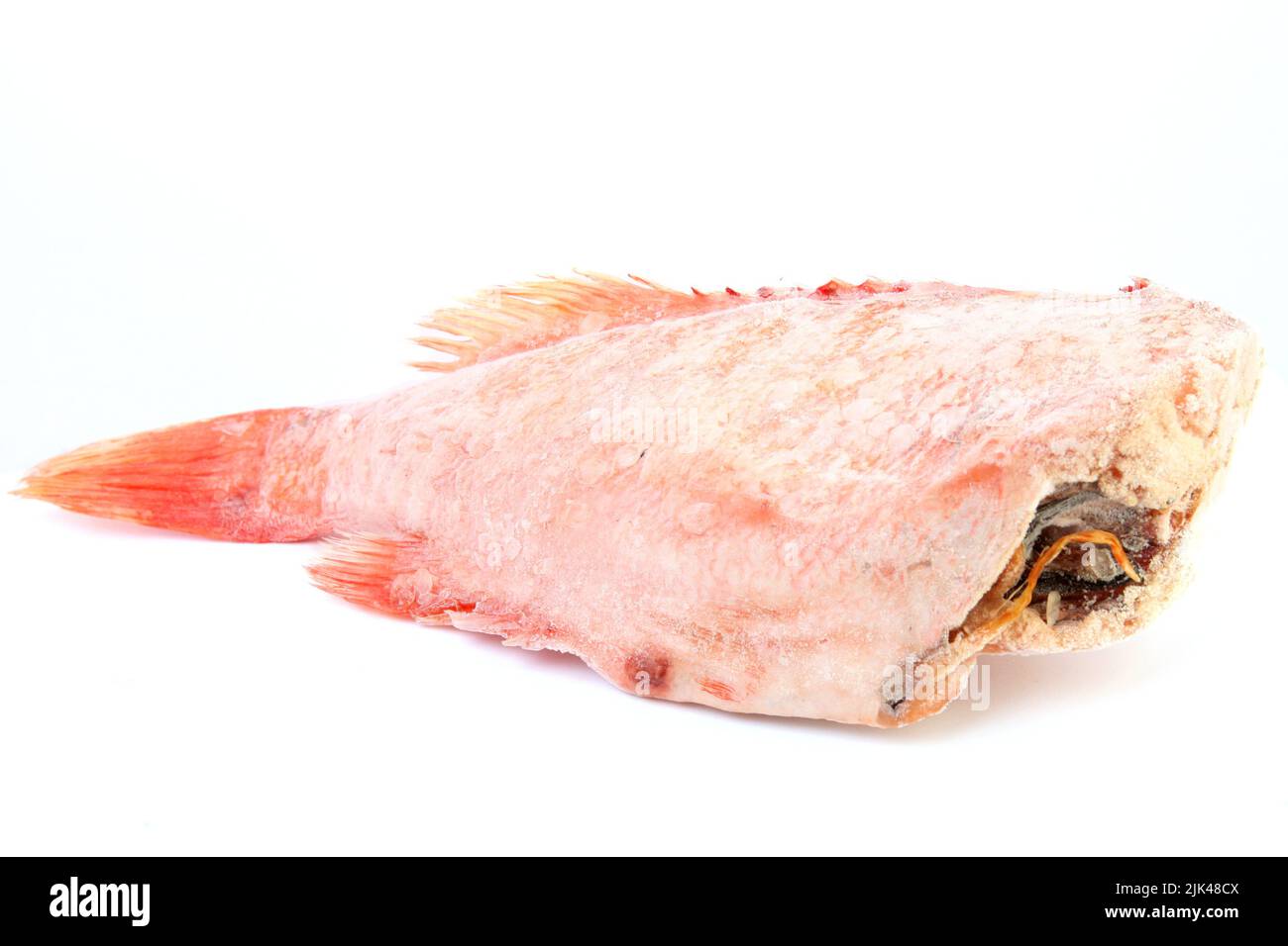 Frozen sea bass without a head. Frozen red fish Frost on the surface of ...