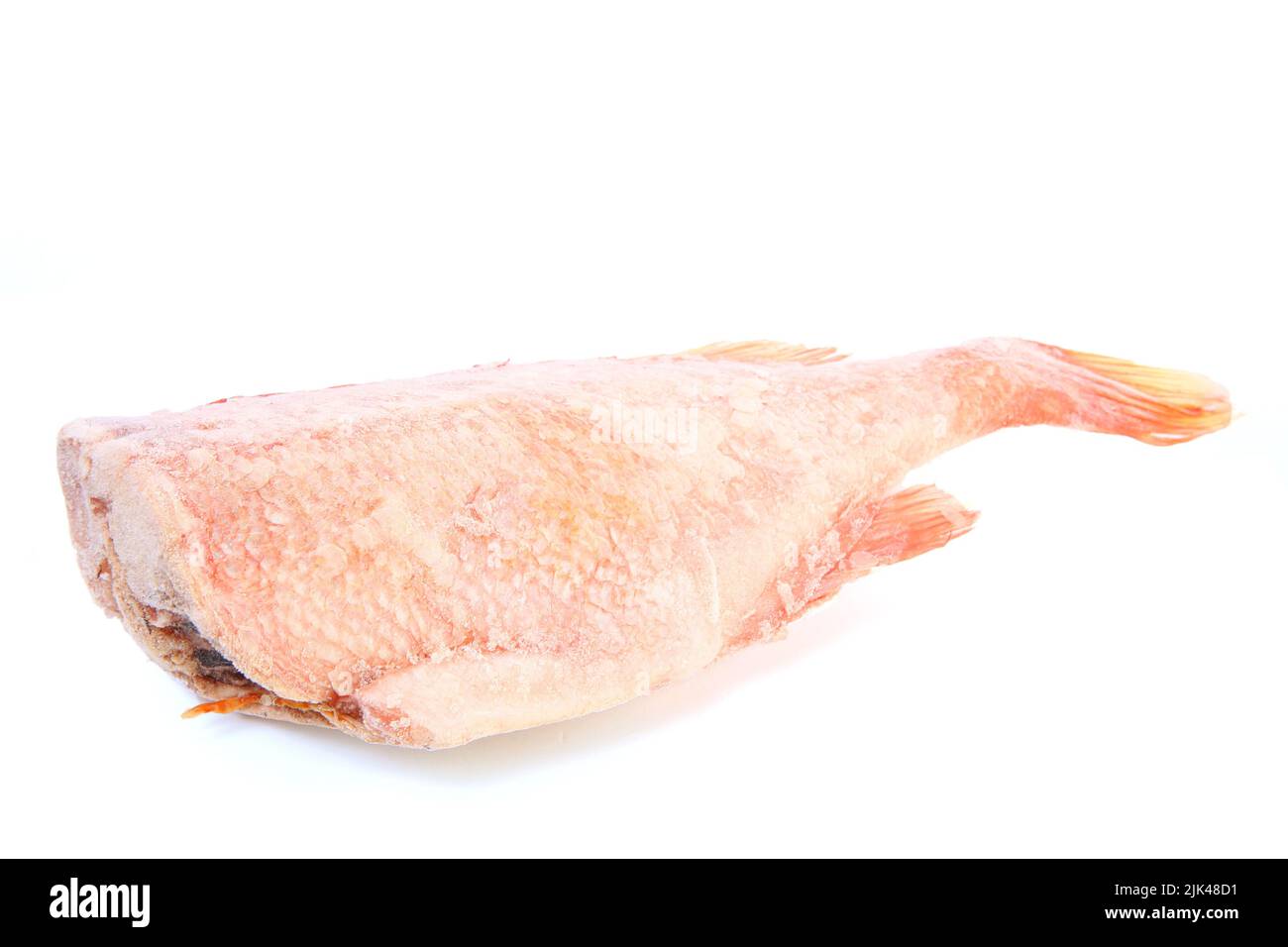 Frozen sea bass without a head. Frozen red fish Frost on the surface of ...