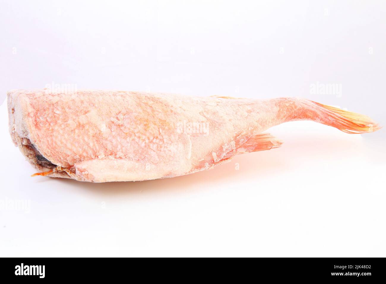 Frozen sea bass without a head. Frozen red fish Frost on the surface of ...