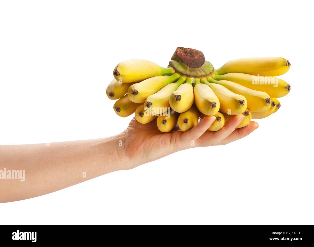 Banana fruit in hand Cut Out Stock Images & Pictures - Alamy