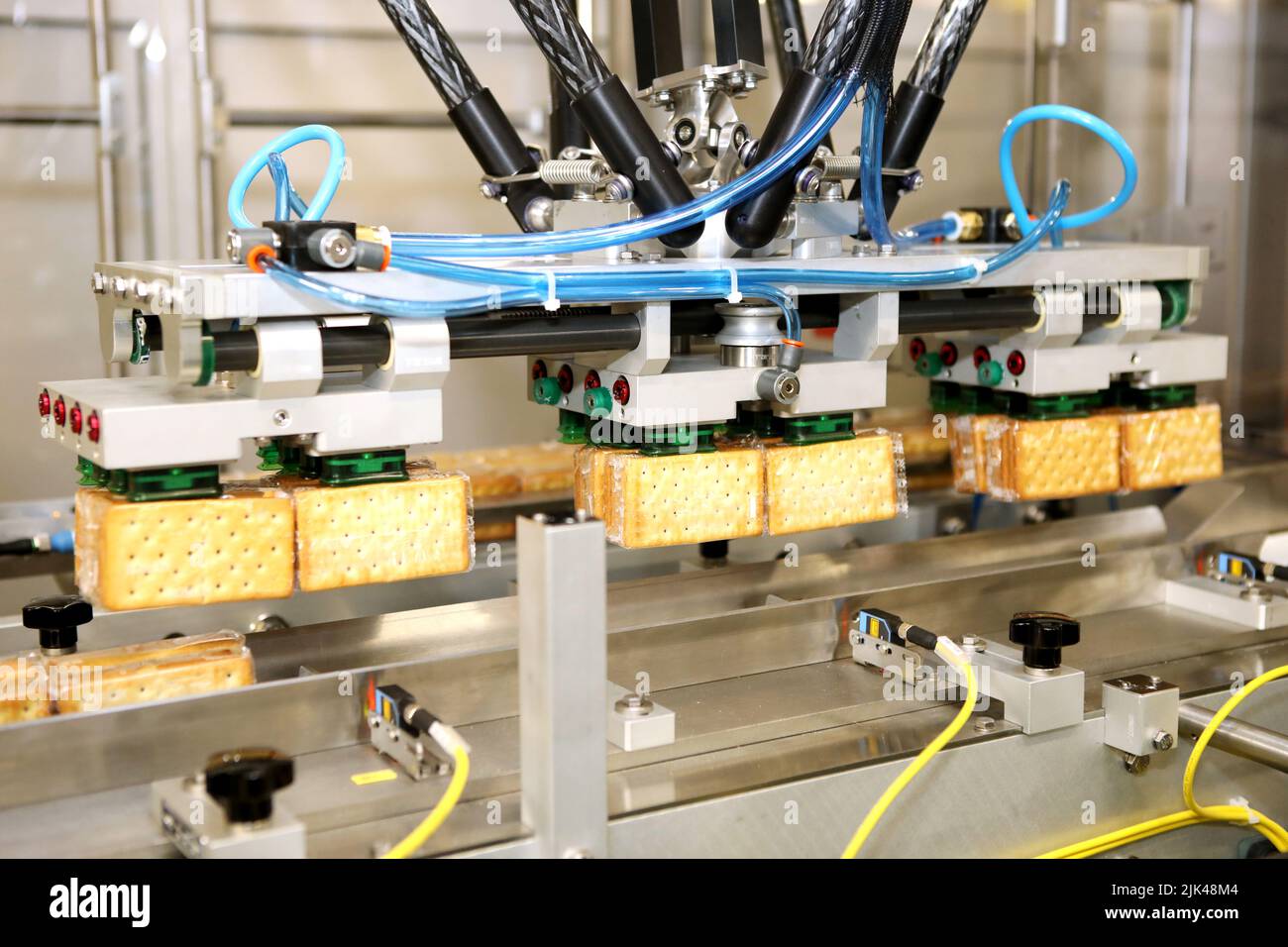 Large biscuit factory. A line of biscuits in a large factory. Packing ...