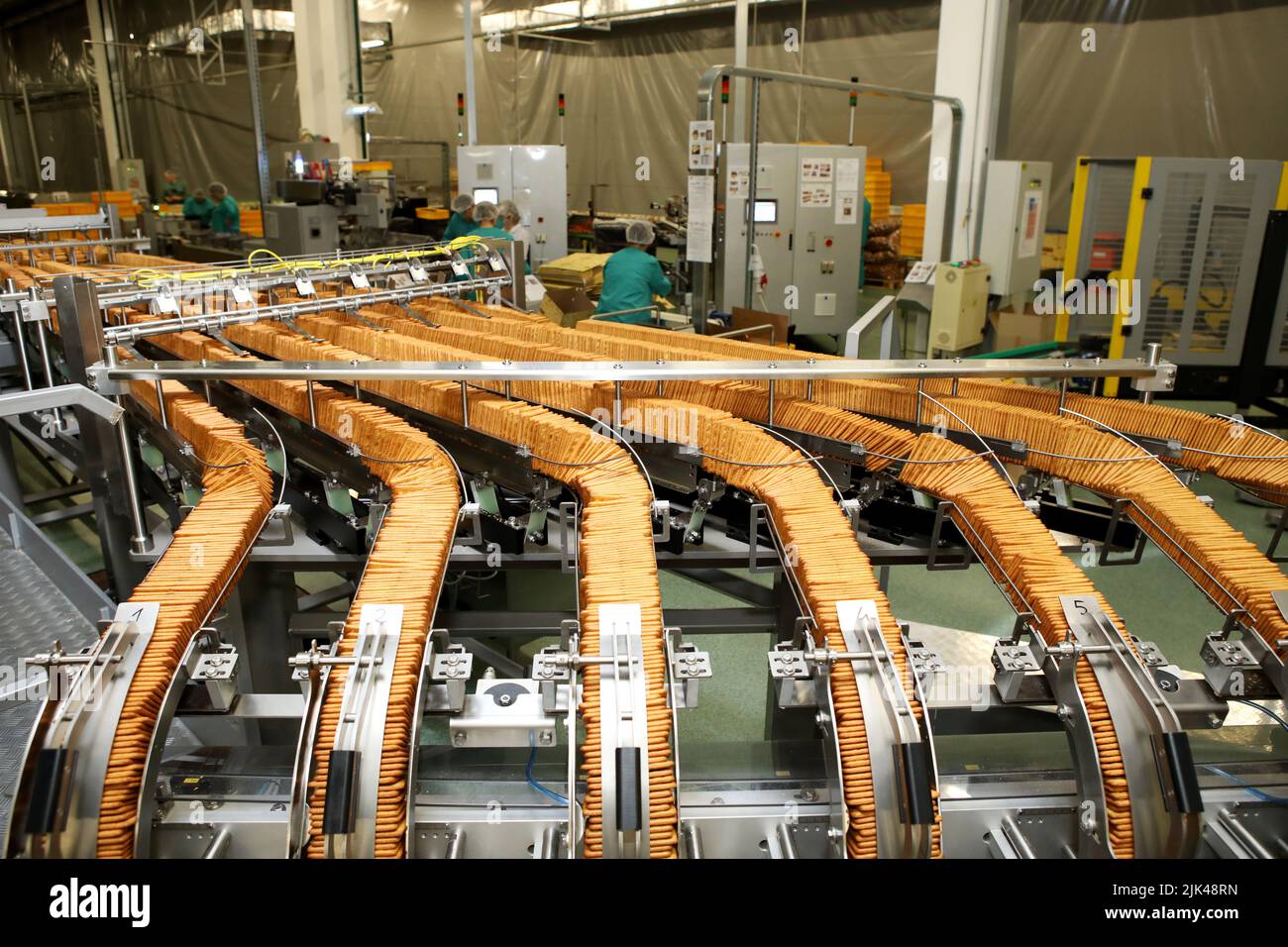 Large biscuit factory. A line of biscuits in a large factory. Packing ...