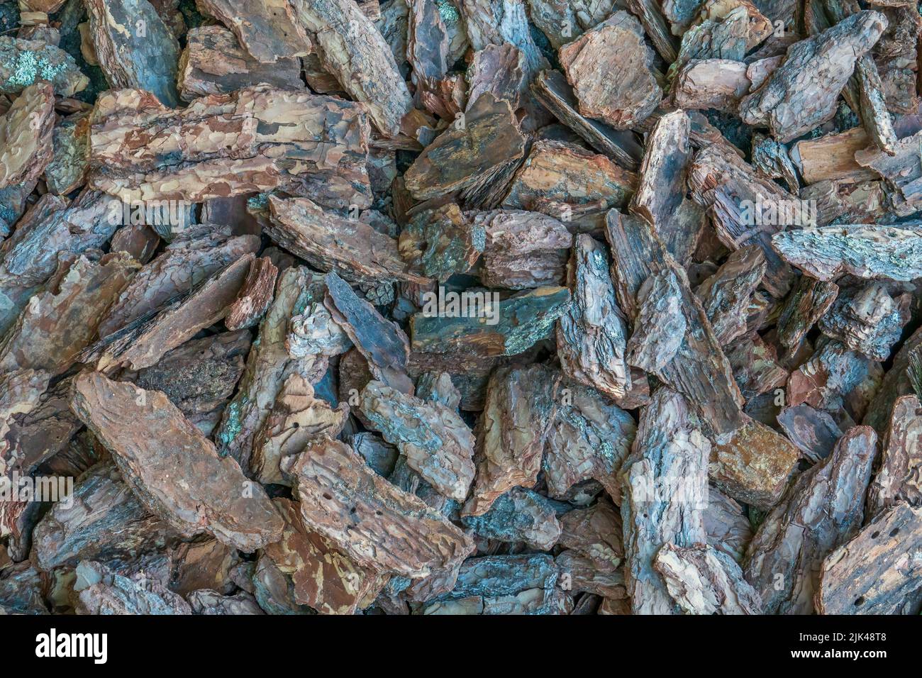 Tree bark texture. Wood bark used for gardening Stock Photo - Alamy