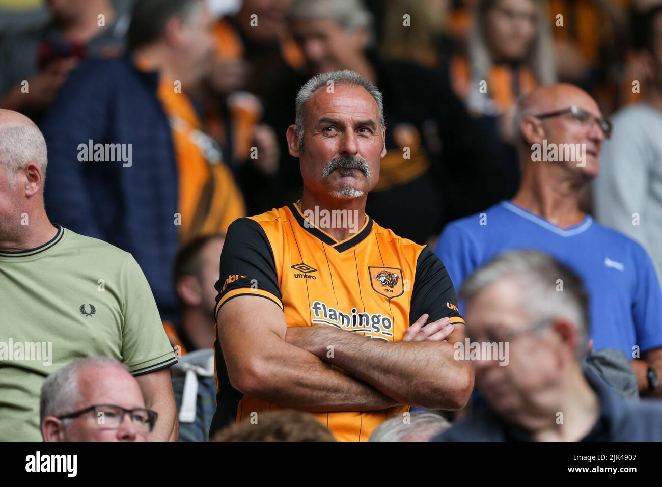 A Hull City fan seen in the stands Stock Photo - Alamy