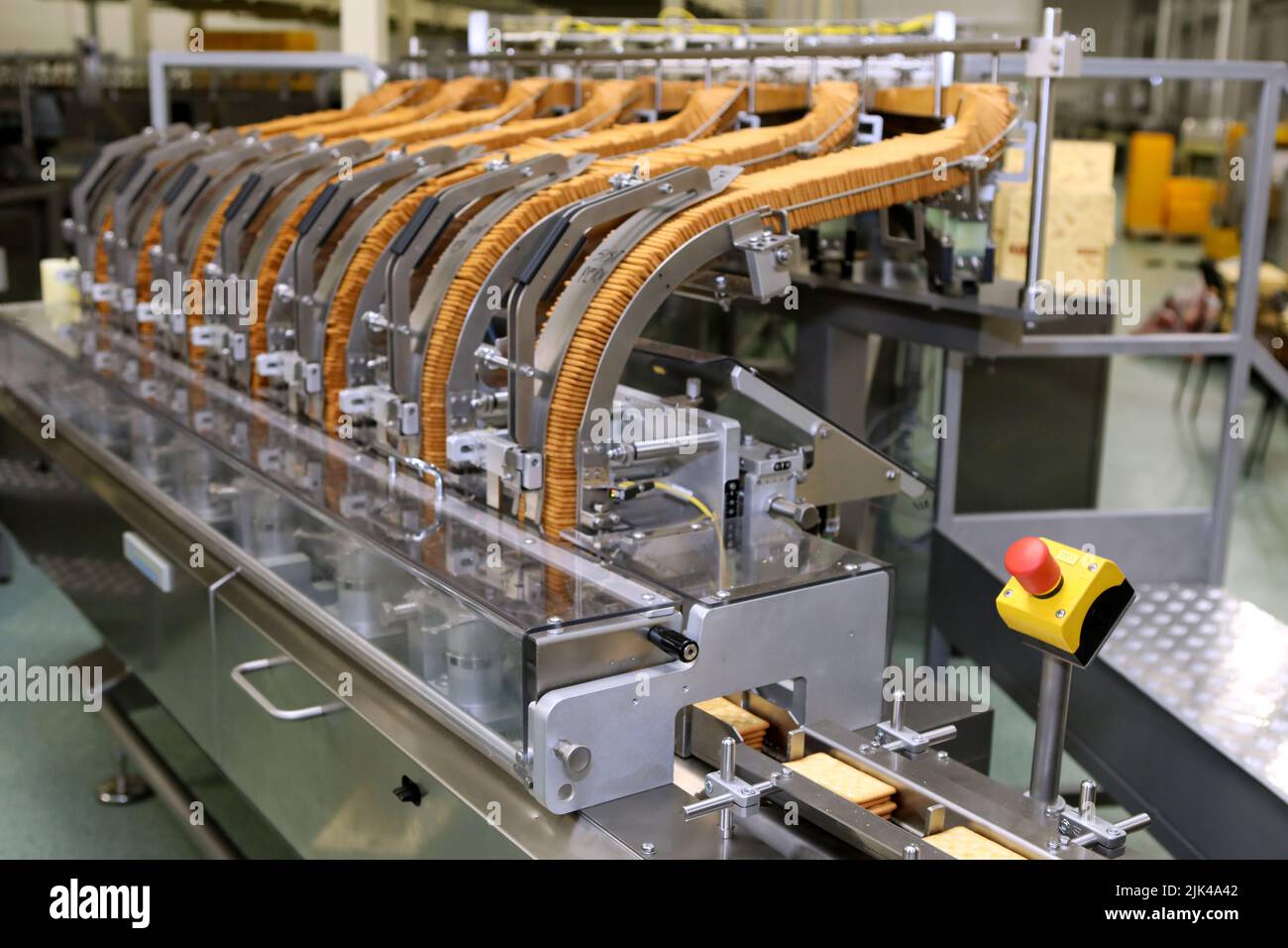 A lot of cookies on the production line. The flow of sweets before ...