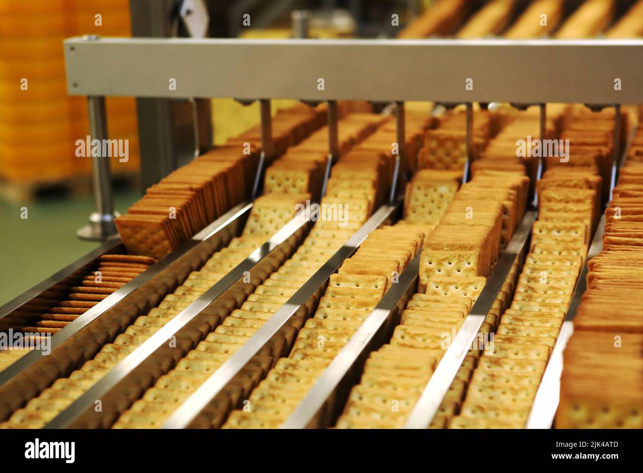 A lot of cookies on the production line. The flow of sweets before ...