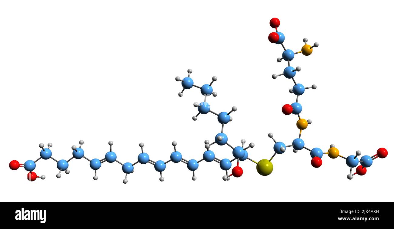 3D image of Eoxin C4 skeletal formula - molecular chemical structure of ...