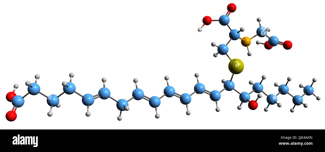 3D image of Eoxin D4 skeletal formula - molecular chemical structure of ...