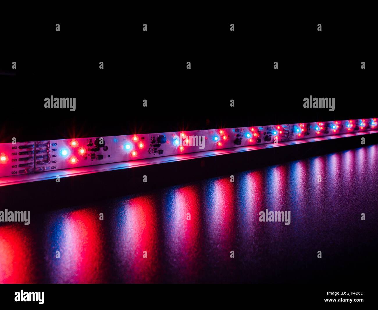 Purple light emitting neon hi-res stock photography and images - Alamy