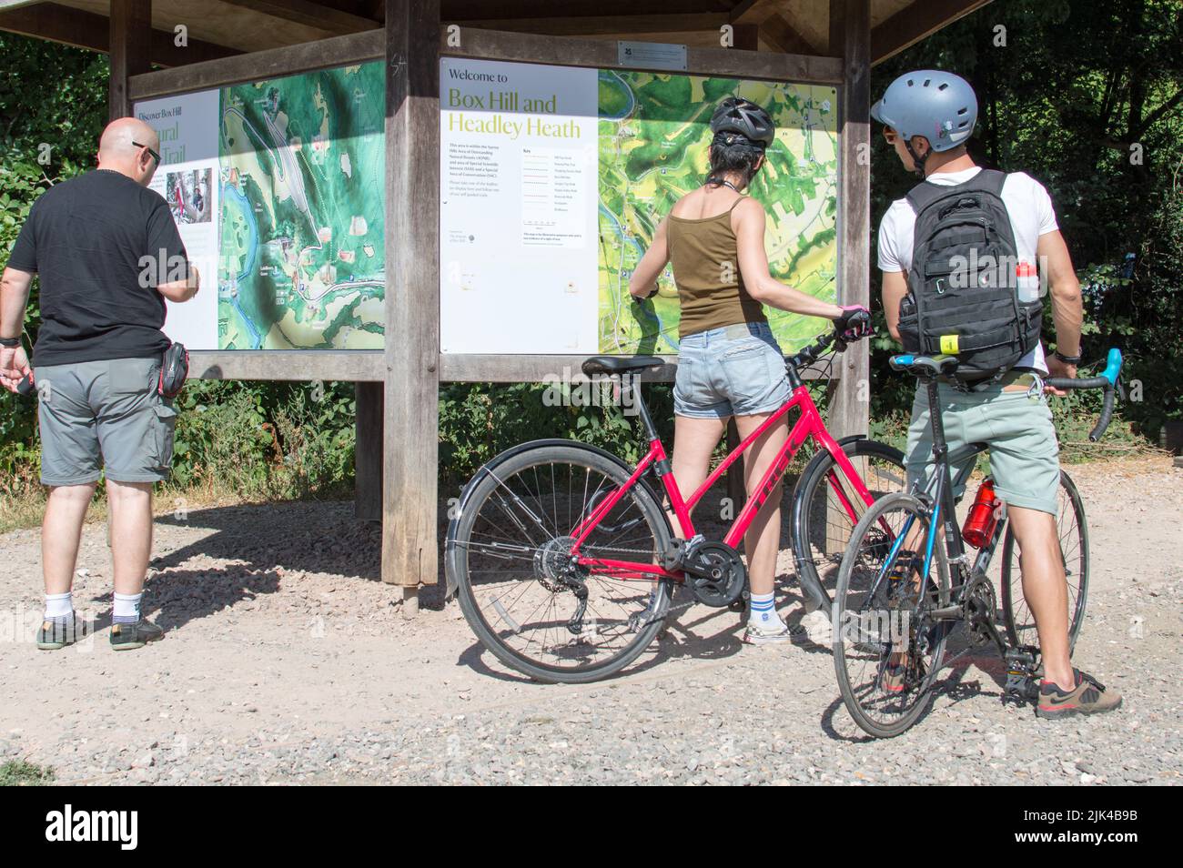 Cyclists checking maps on Surrey hills Stock Photo - Alamy