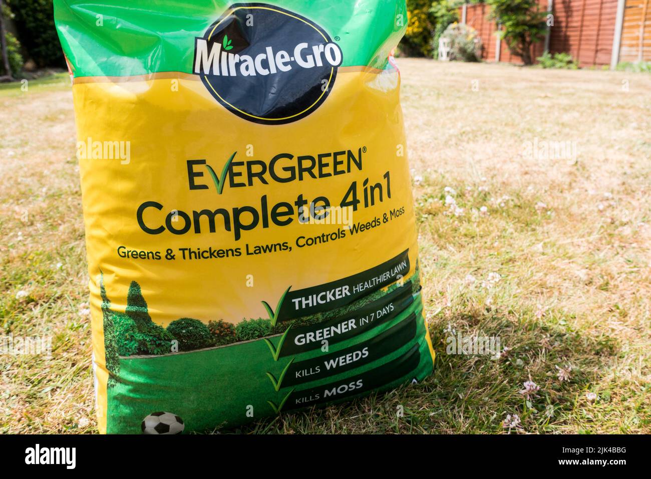 Miracle Gro Evergreen 4 in 1 lawn feed bag on lawn Stock Photo - Alamy