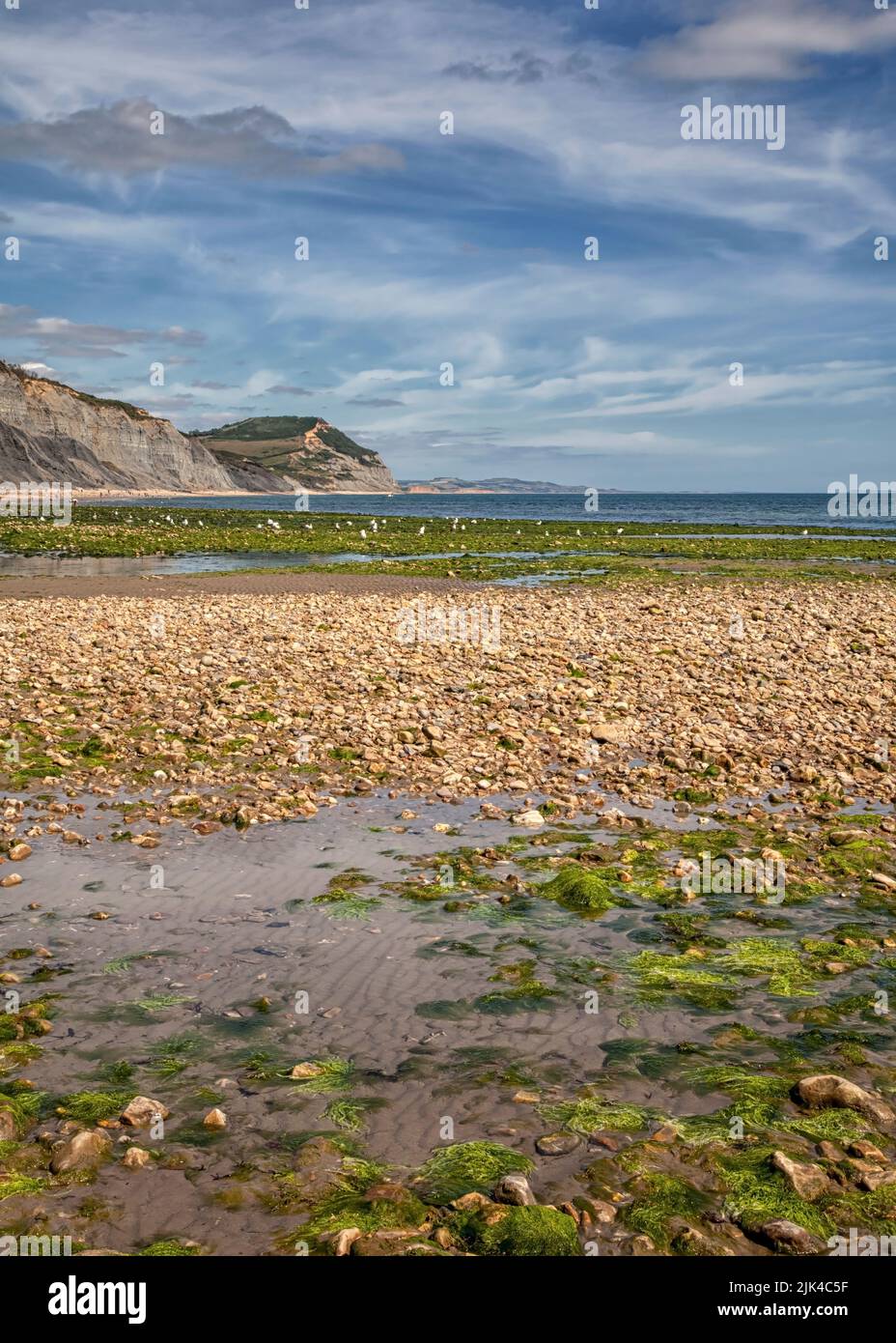 Hive Beach on Dorset Coast Stock Photo - Alamy