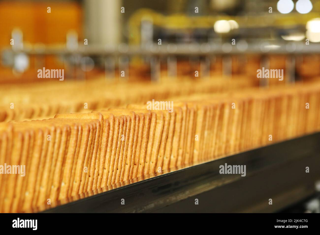 Large biscuit factory. A line of biscuits in a large factory. Packing ...