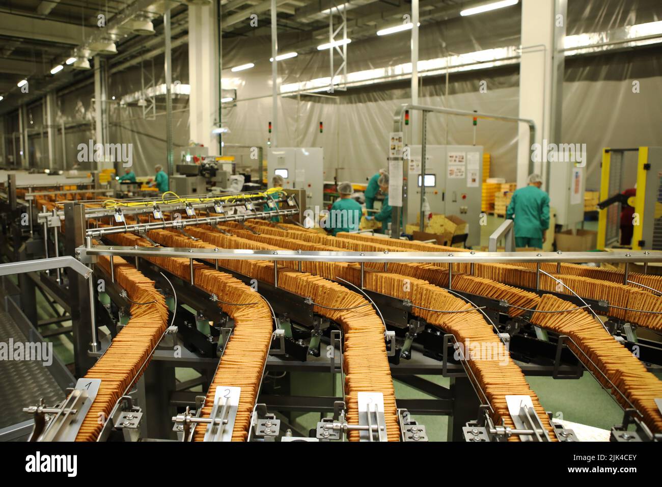 A lot of cookies on the production line. The flow of sweets before ...