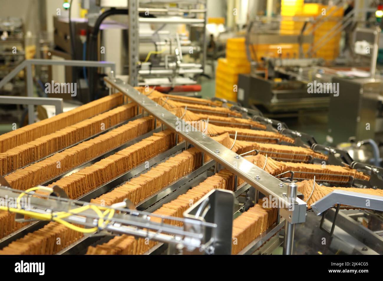 A lot of cookies on the production line. The flow of sweets before ...