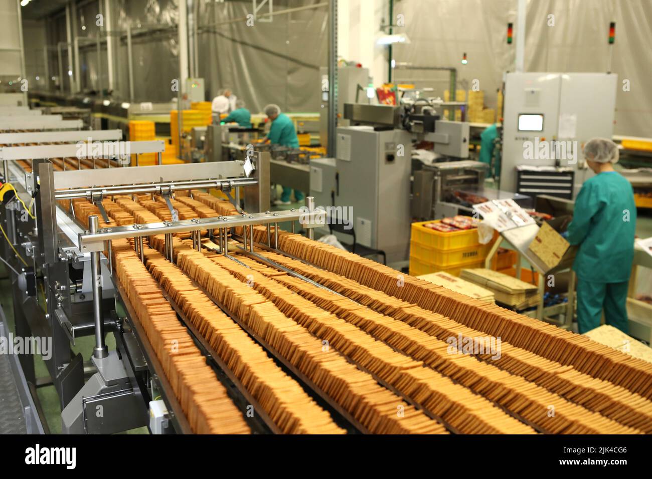 A lot of cookies on the production line. The flow of sweets before ...