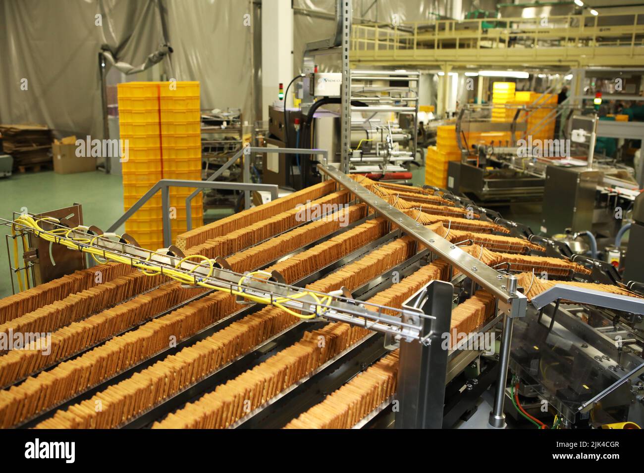 A lot of cookies on the production line. The flow of sweets before ...