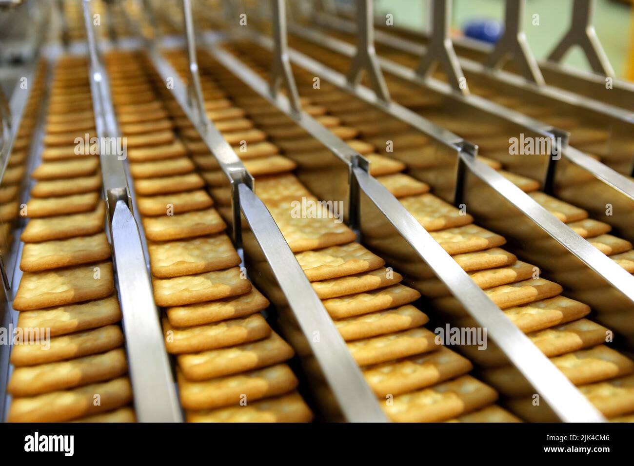 A lot of cookies on the production line. The flow of sweets before ...