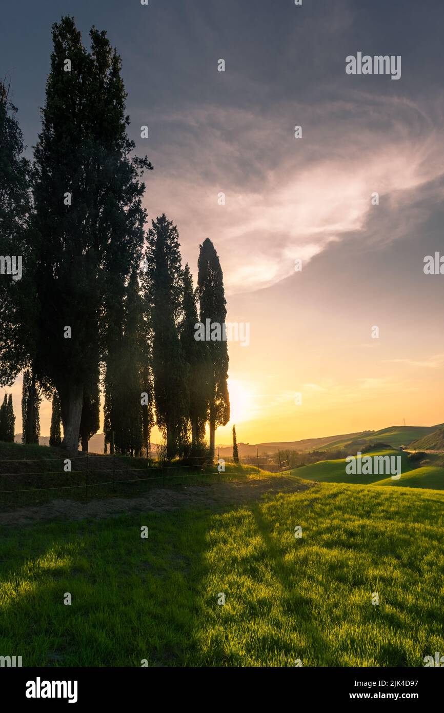 Sunset beams over the cypresses of Tuscany countryside, Italy Stock ...