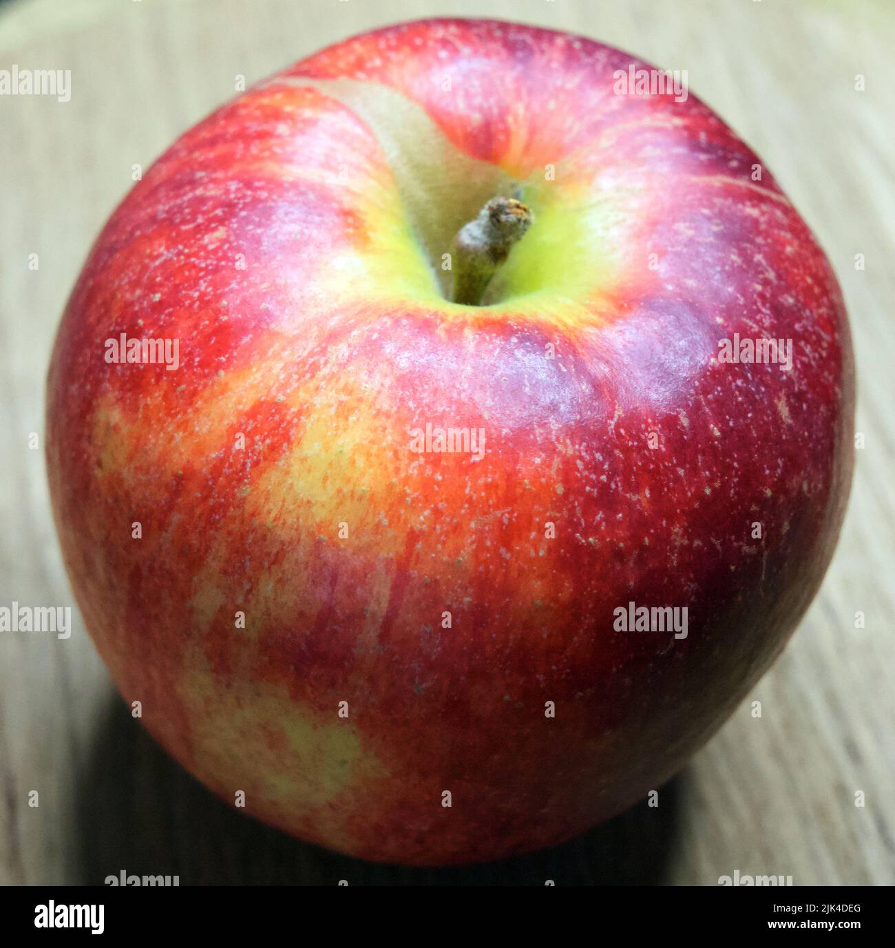 A single large ripe gala apple, a macro shot. Beautiful red fruit Stock ...