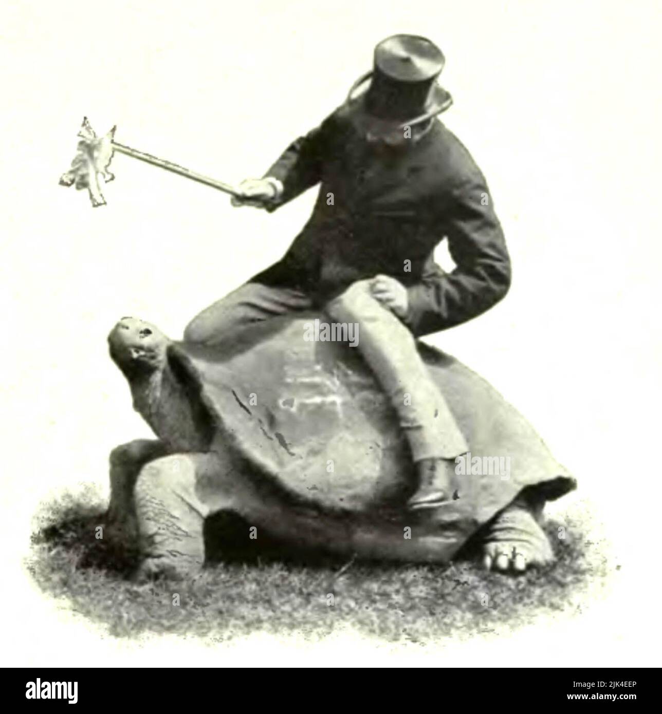 Walter Rothschild on Rotumah Stock Photo - Alamy