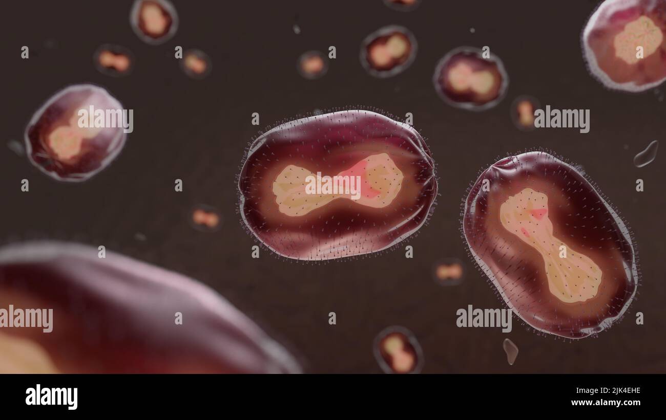Artist's impression (3D) of Monkeypox virus under microscope Stock ...