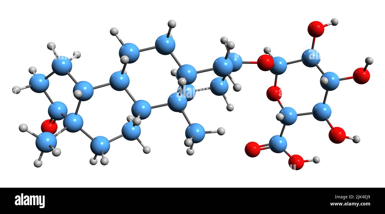 3D image of Etiocholanolone glucuronide skeletal formula - molecular ...