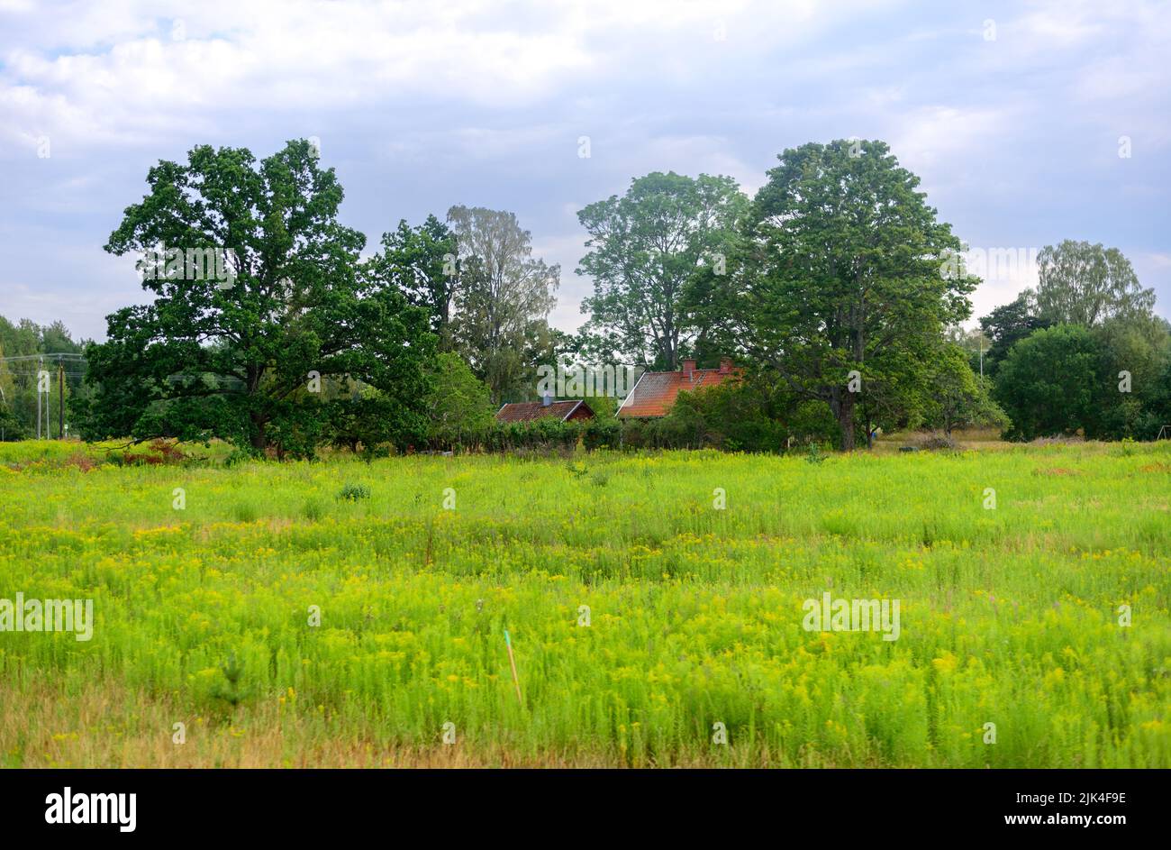 Swedish scenery hi-res stock photography and images - Alamy