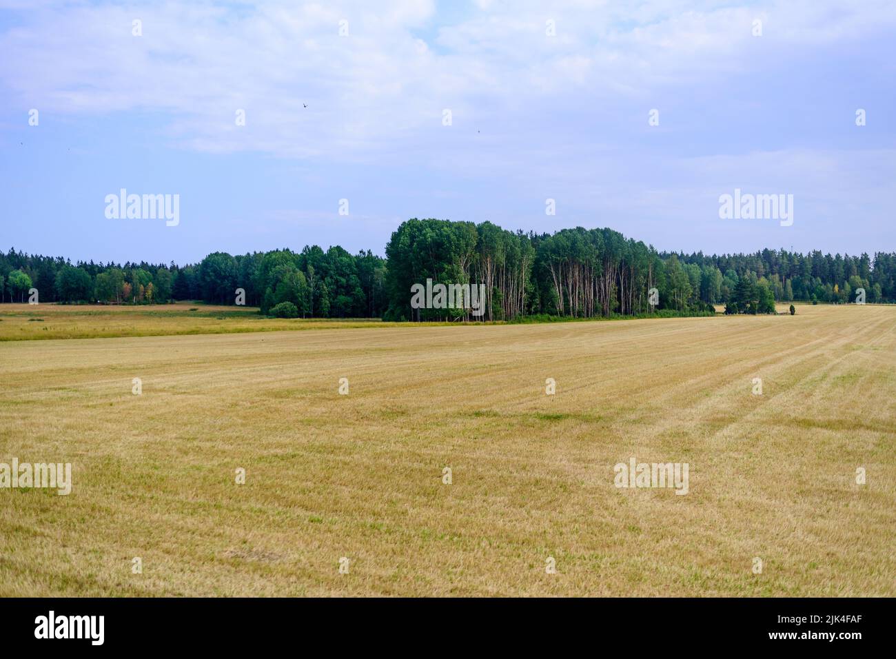 Swedish scenery hi-res stock photography and images - Alamy