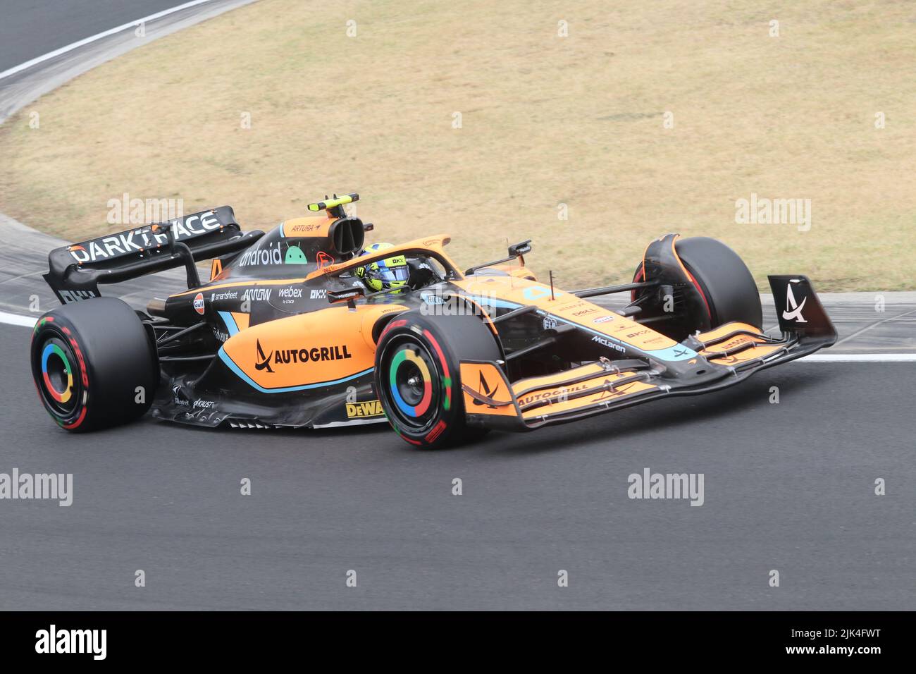 Mclaren F1 Engine 2022