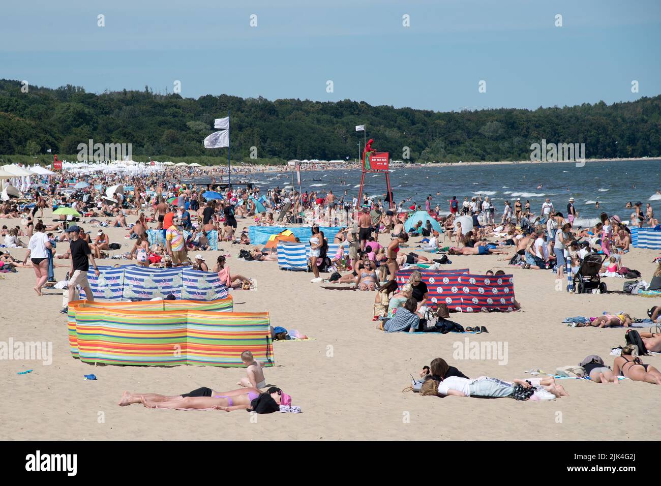 Crowd crowds crowded crowdy hi-res stock photography and images - Alamy