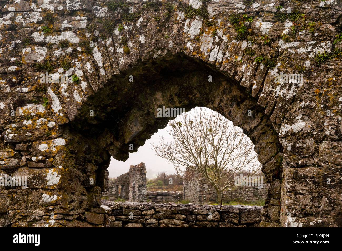 Barrel arch at Gothic Corcomroe Abbey ruins in The Burren, Ireland ...