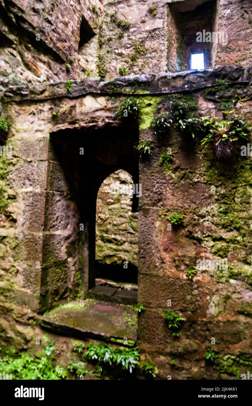 Burrishoole Friary ruins in County Mayo, Ireland Stock Photo - Alamy