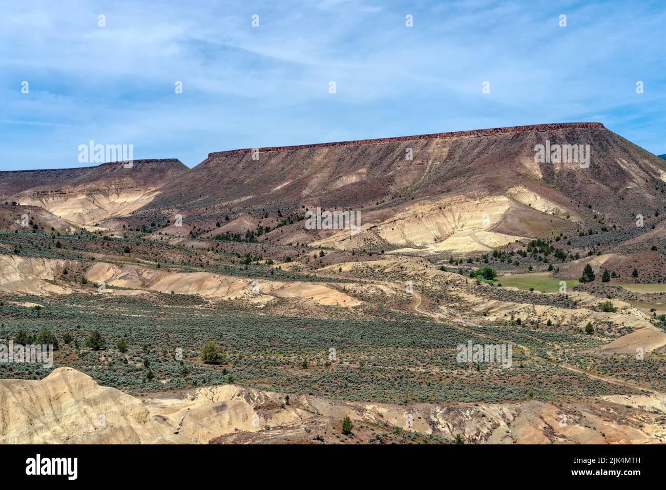 Flat ridges rise above the basin at the Mascall Formation in the John ...