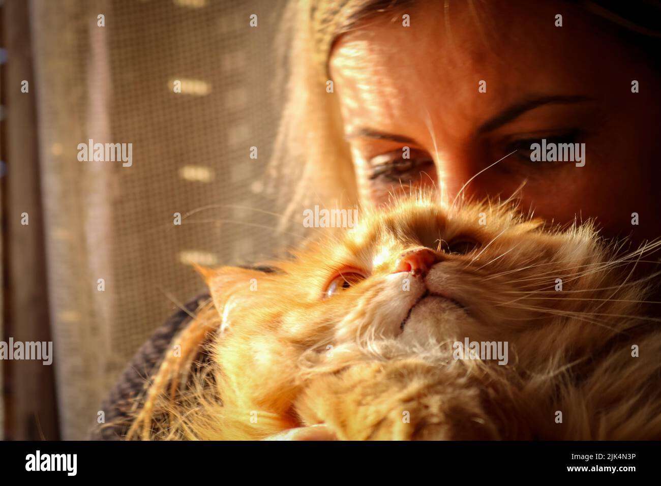 Kitty and woman hi-res stock photography and images - Alamy