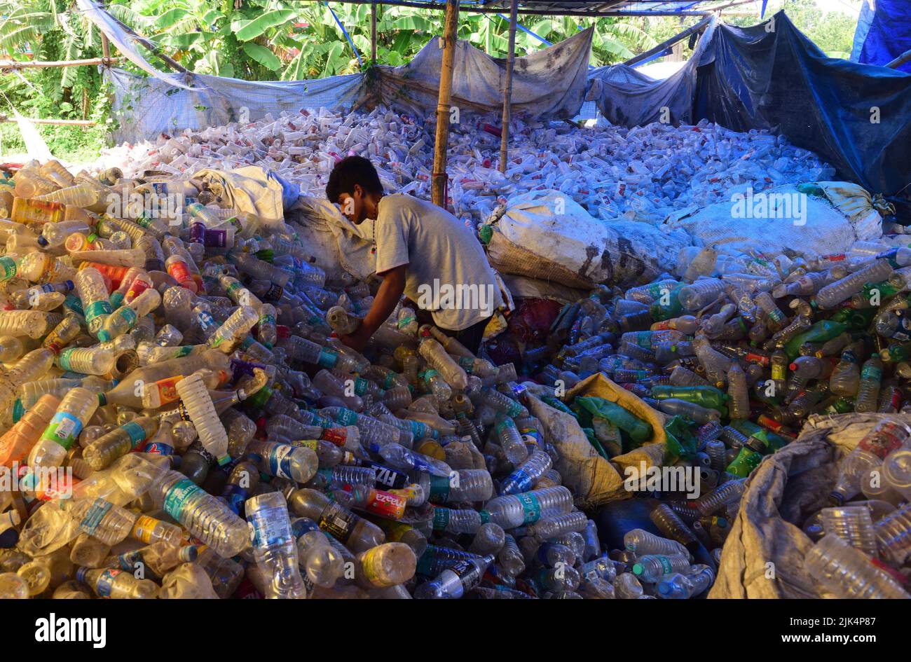 A man seen sorting plastic bottles at a workshop before sending them ...